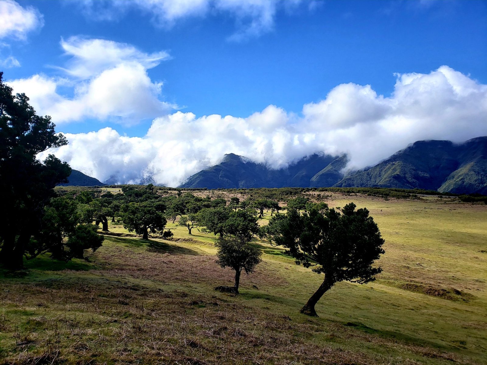 Hiking PR10 Levada do Furado: Ribeiro Frio to Portela, Madeira