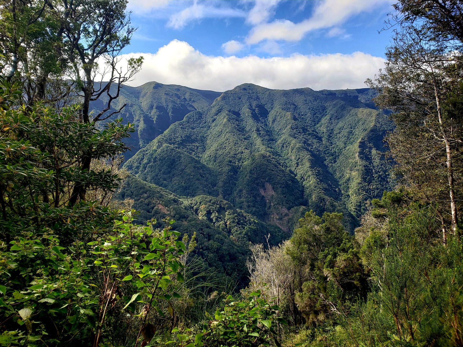 Hiking PR10 Levada do Furado: Ribeiro Frio to Portela, Madeira