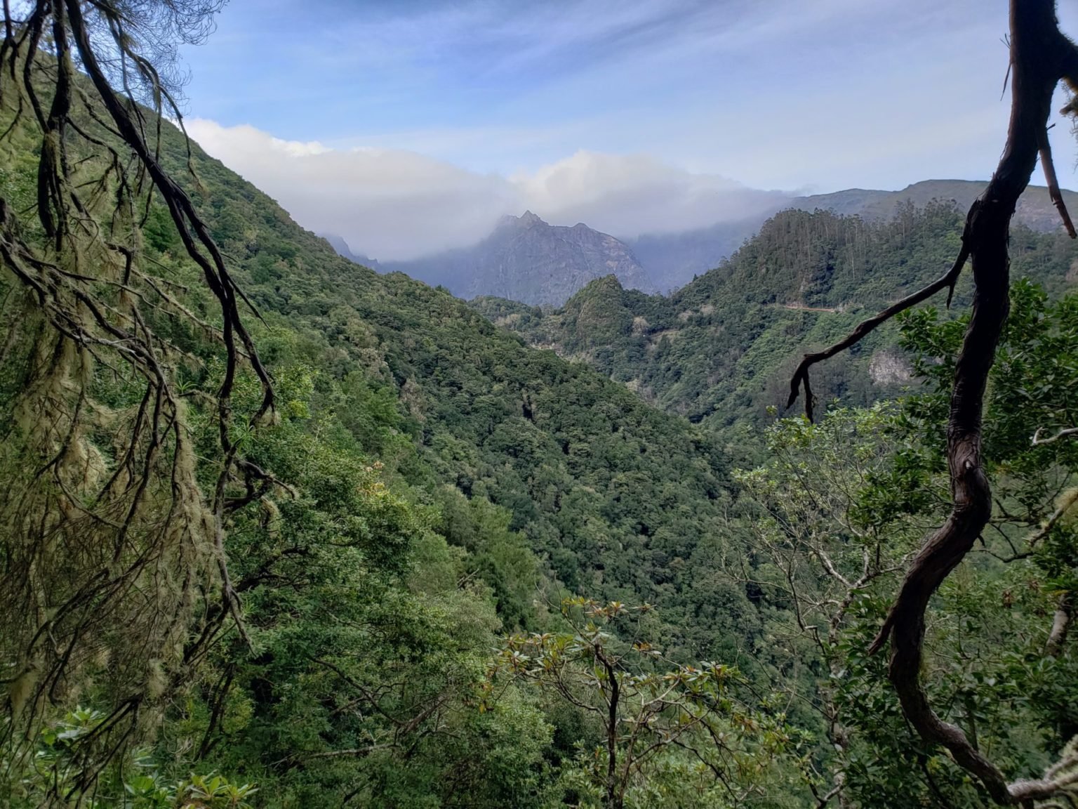Hiking PR10 Levada do Furado: Ribeiro Frio to Portela, Madeira