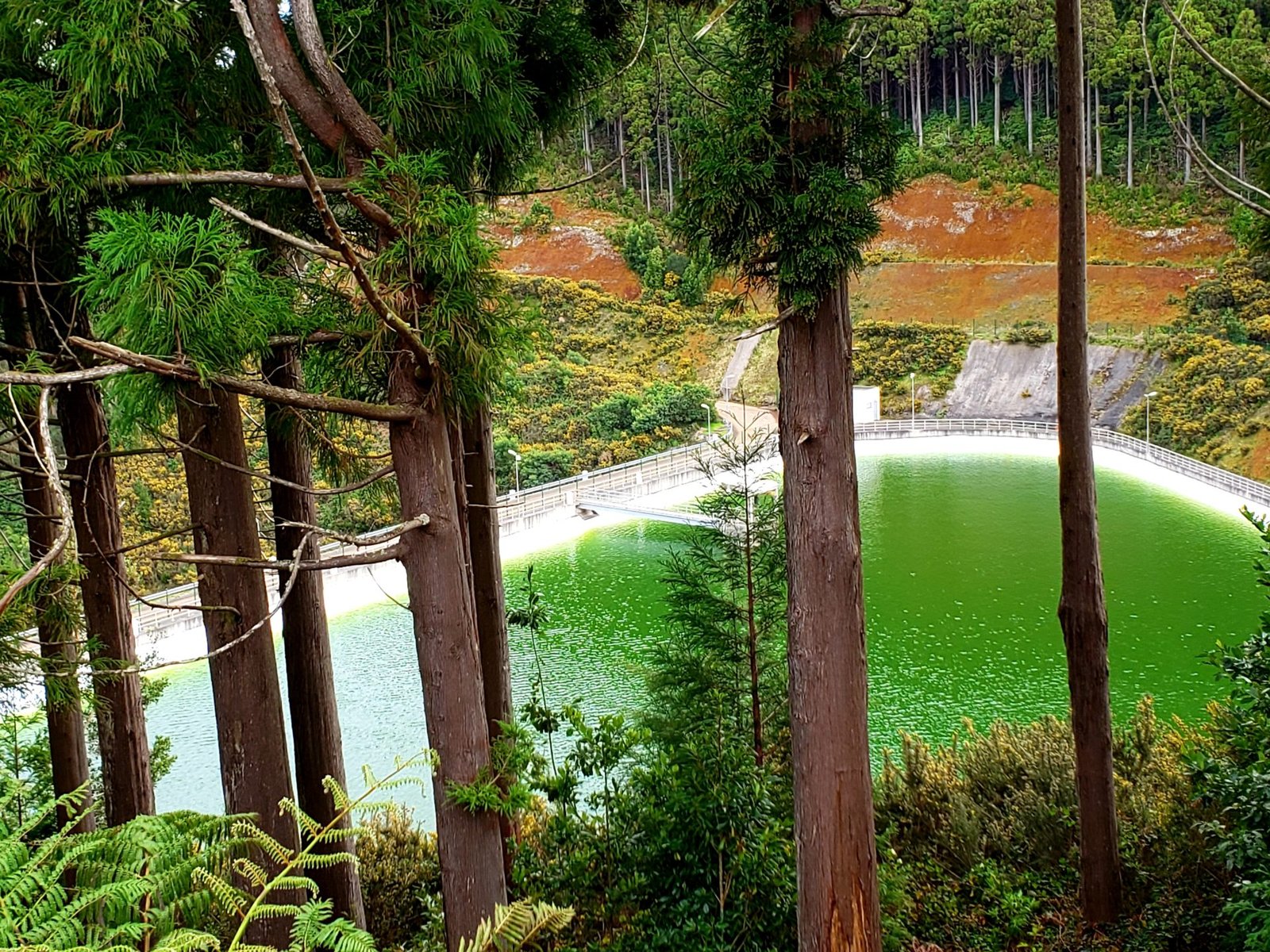 Hiking PR10 Levada do Furado: Ribeiro Frio to Portela, Madeira