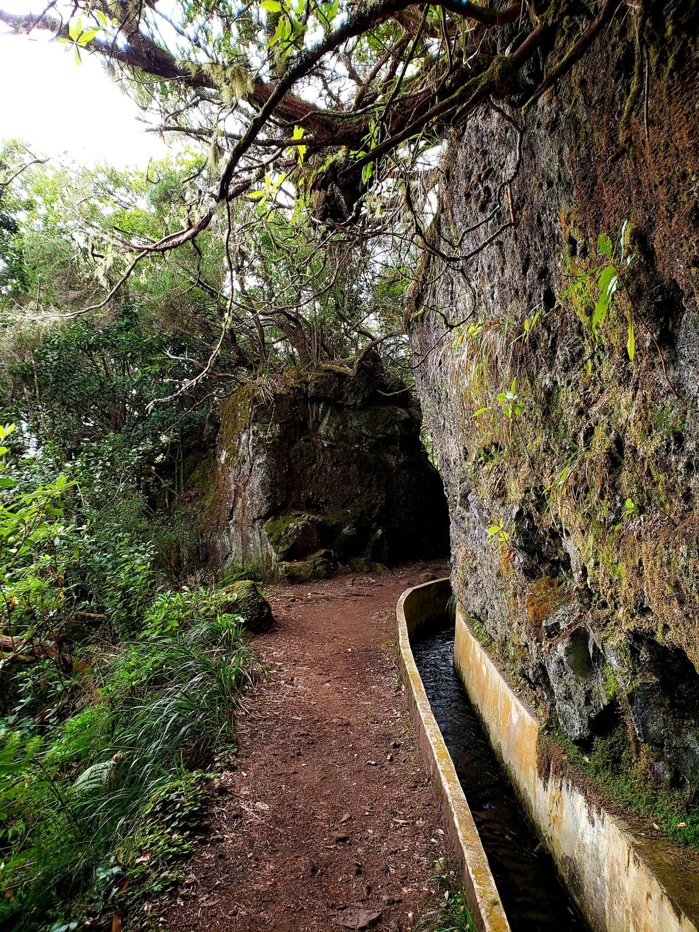 Hiking PR10 Levada do Furado: Ribeiro Frio to Portela, Madeira