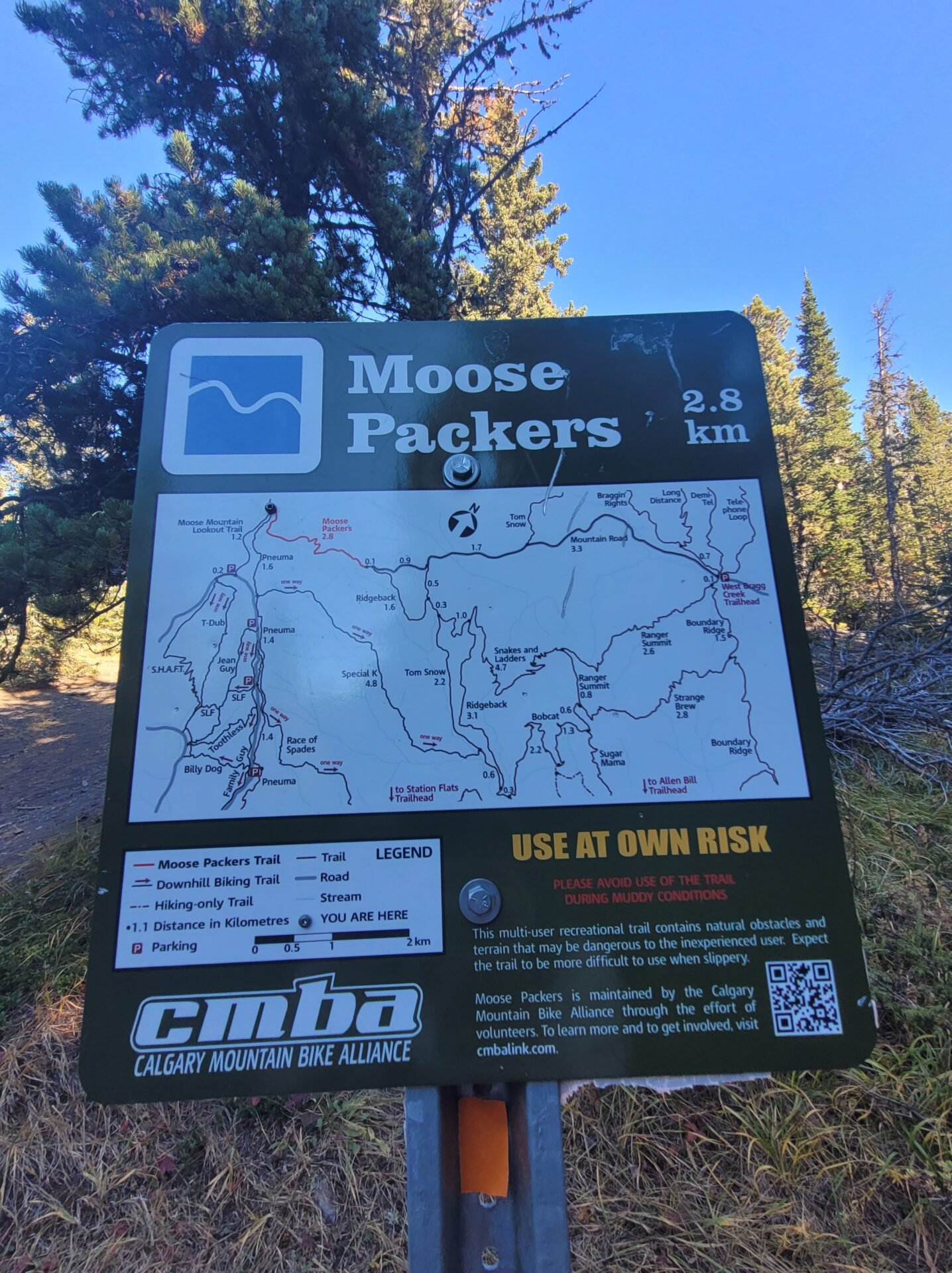 Moose Mountain Trail, Alberta: Complete Hiking Guide