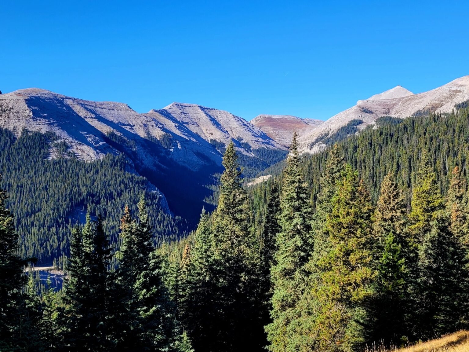 Moose Mountain Trail, Alberta: Complete Hiking Guide
