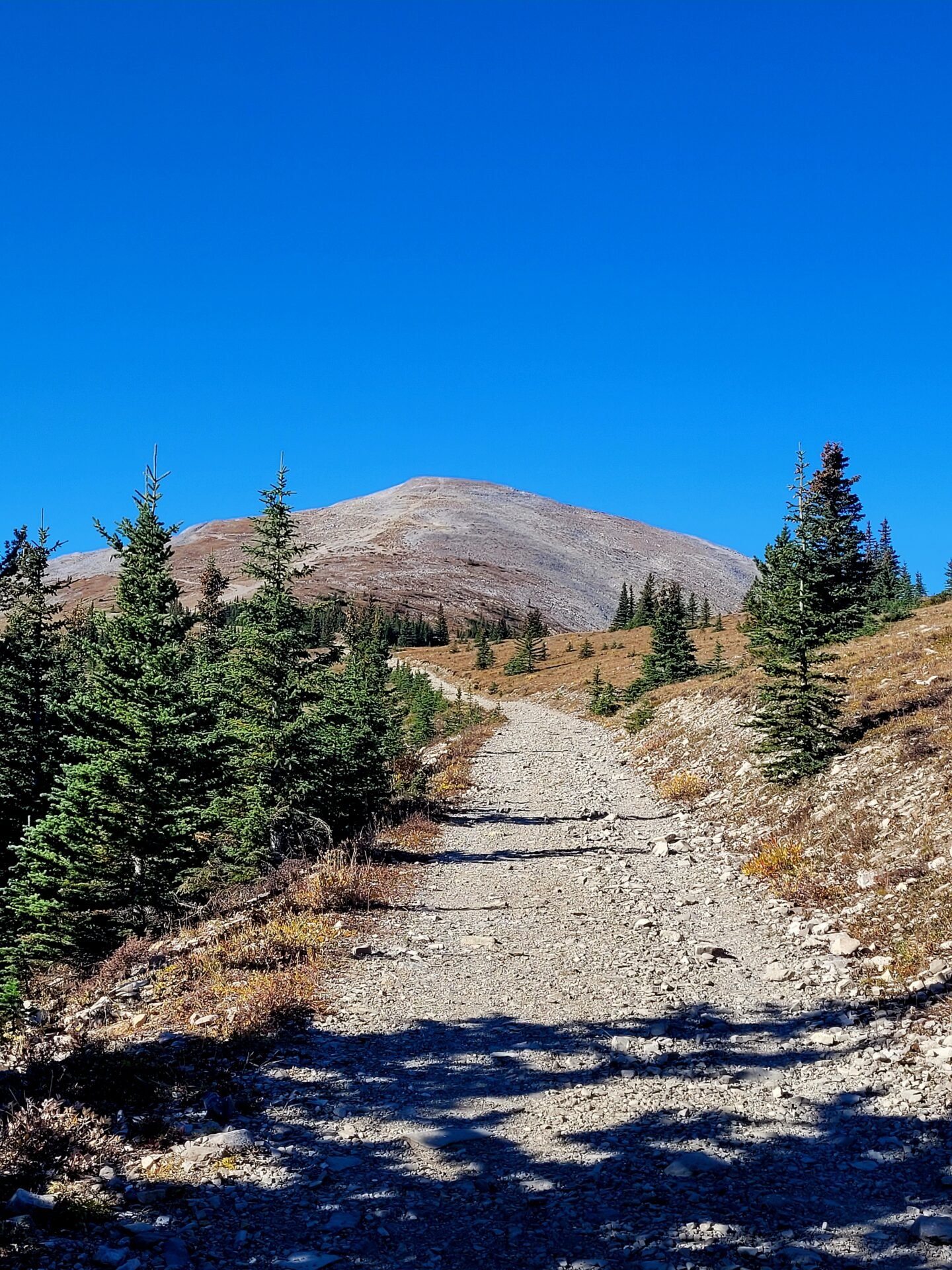Moose Mountain Trail, Alberta: Complete Hiking Guide