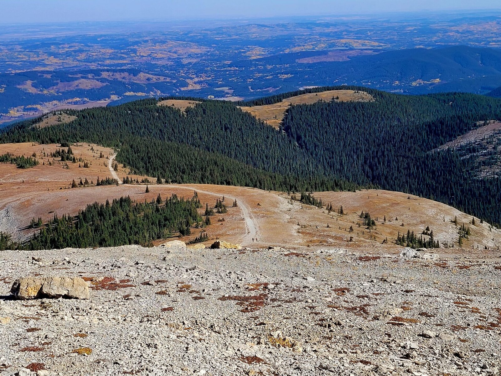 Moose Mountain Trail, Alberta: Complete Hiking Guide