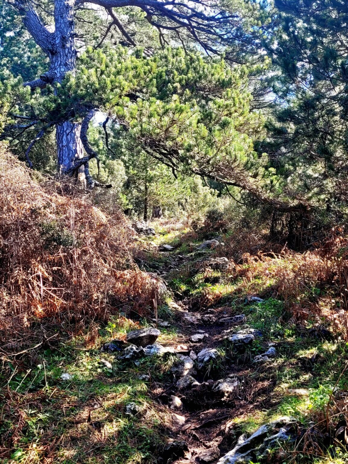 Hiking Maja e Qores: Llogara National Park, Albania