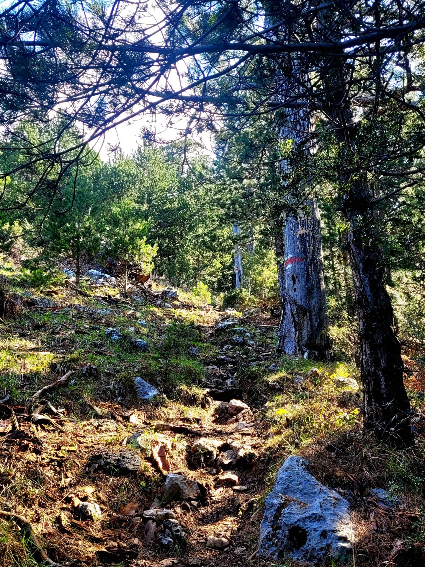 Hiking Maja e Qores: Llogara National Park, Albania