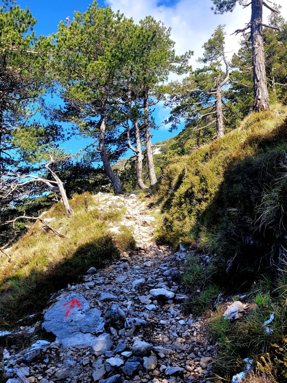 Hiking Maja e Qores: Llogara National Park, Albania