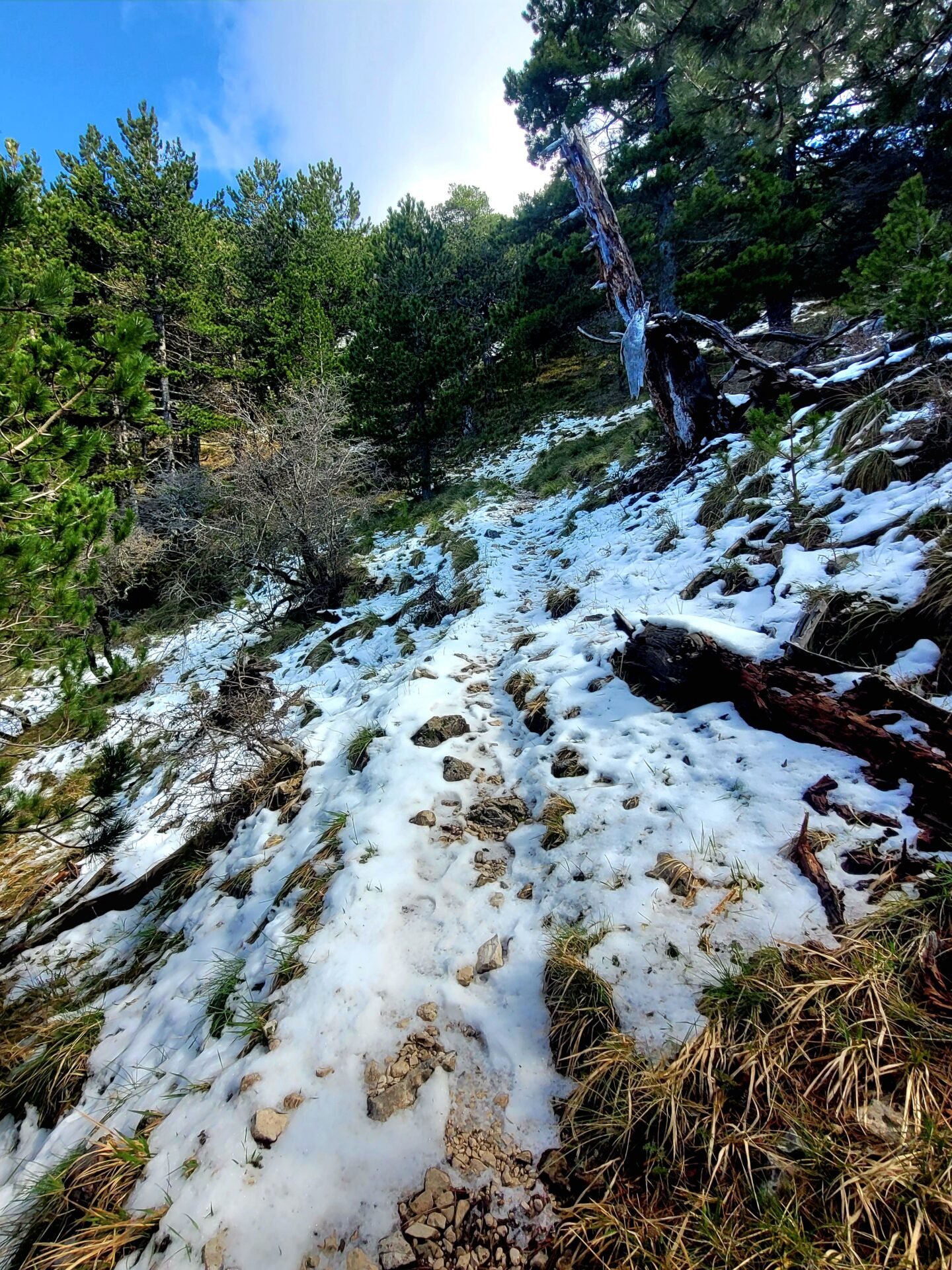 Hiking Maja e Qores: Llogara National Park, Albania