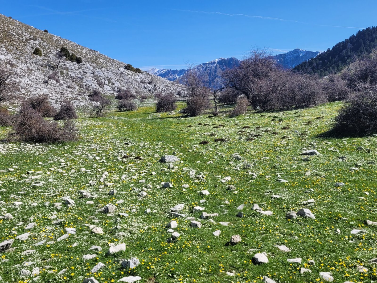 The Hike to Saint Andreas Bay in Albania