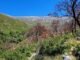 The Hike to Saint Andreas Bay in Albania