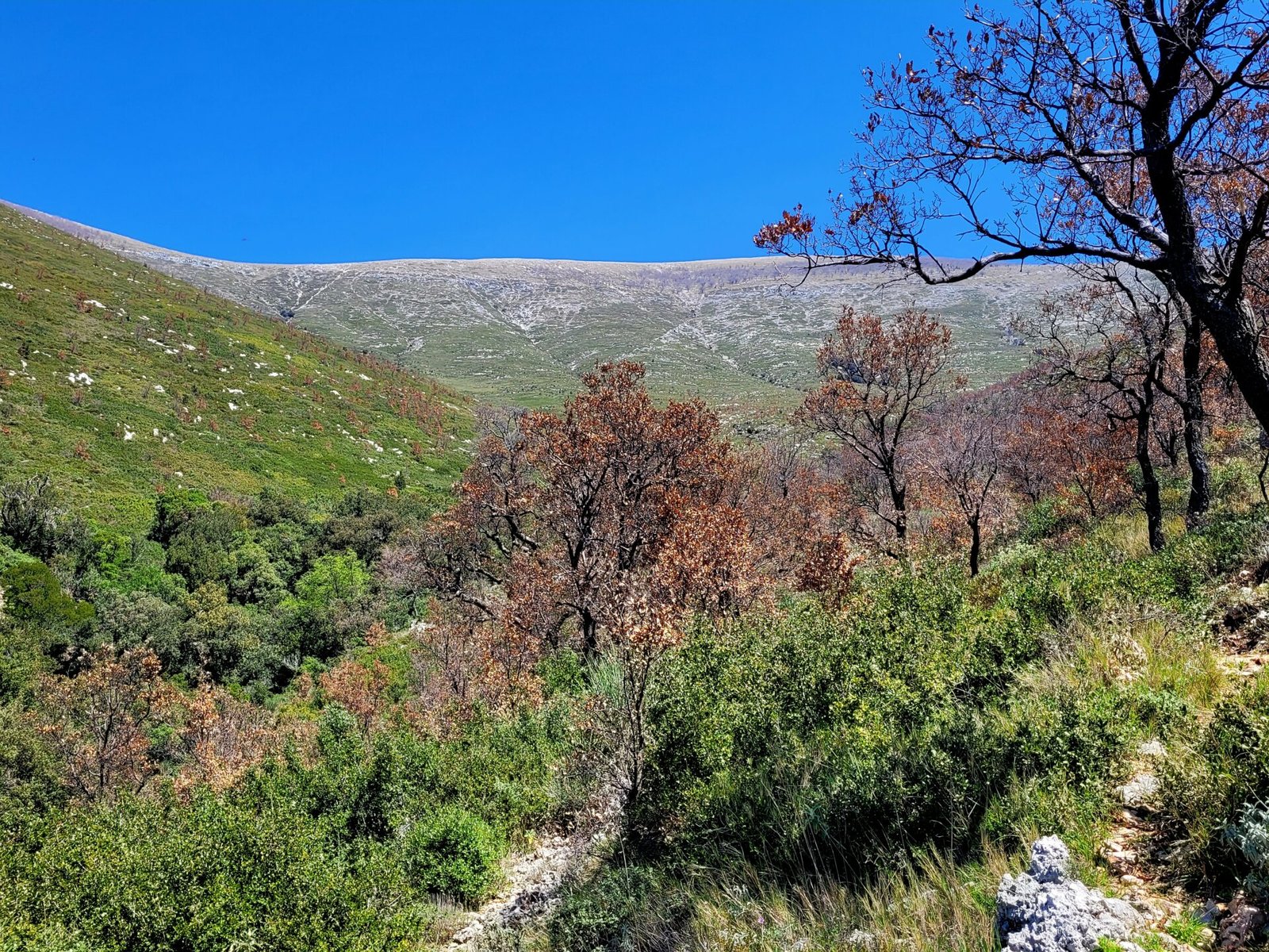 The Hike to Saint Andreas Bay in Albania