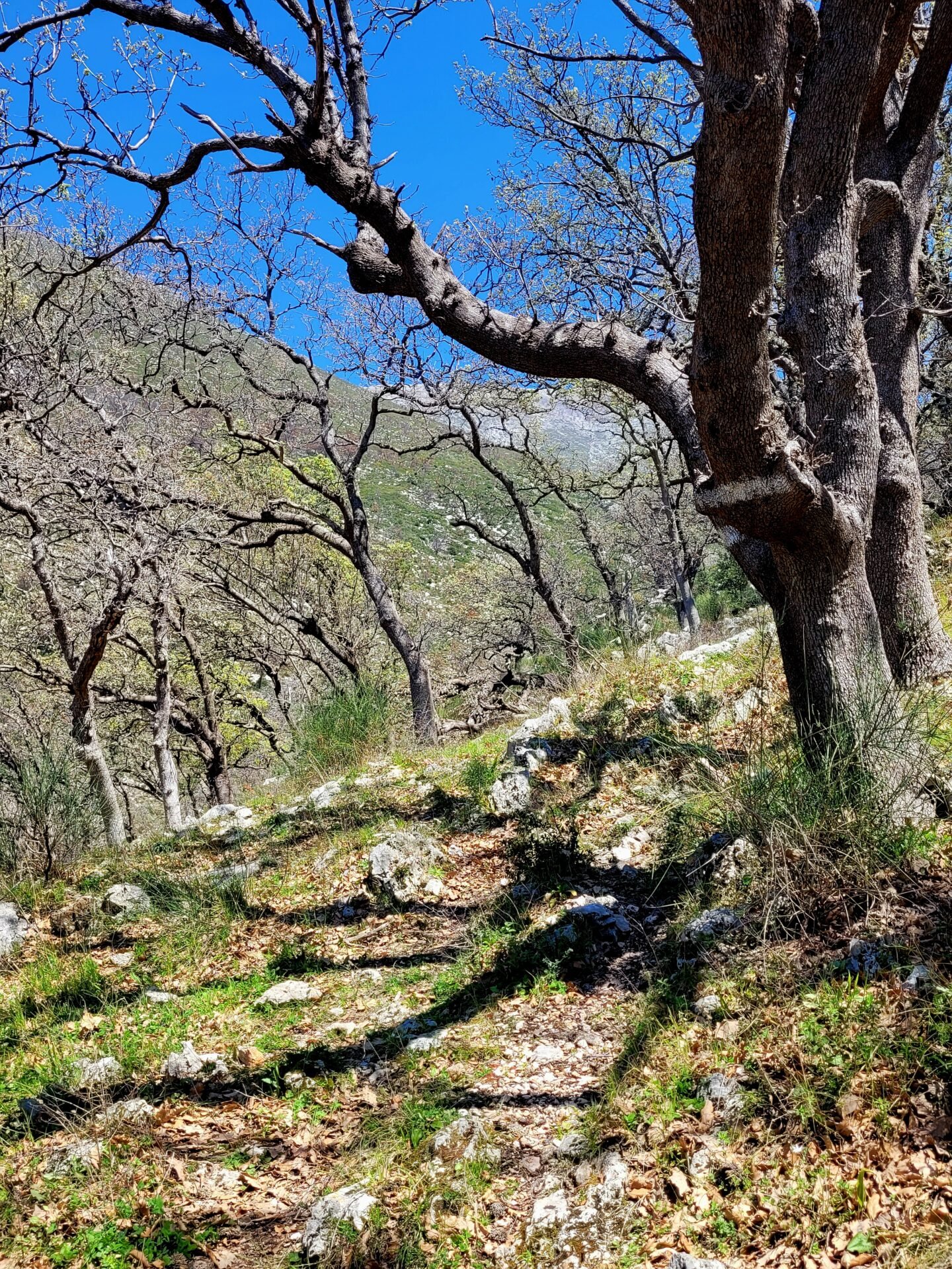 The Hike to Saint Andreas Bay in Albania