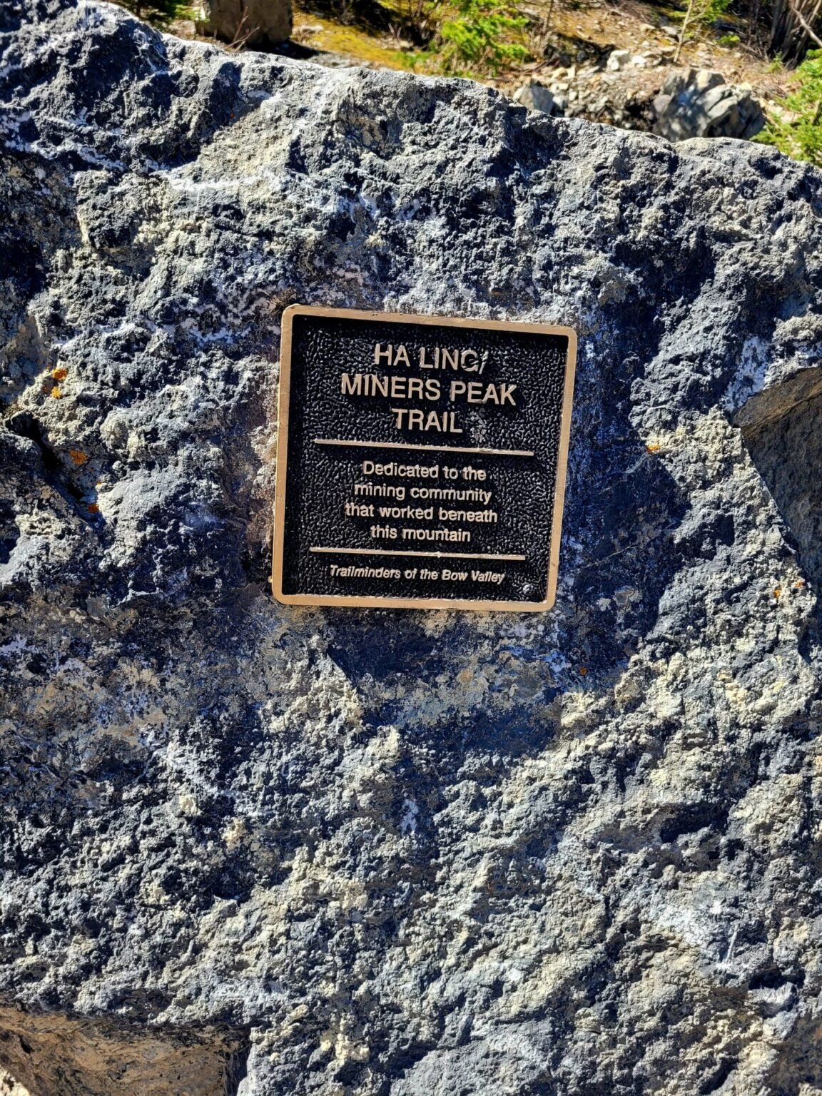 Ha Ling Peak Hiking Guide