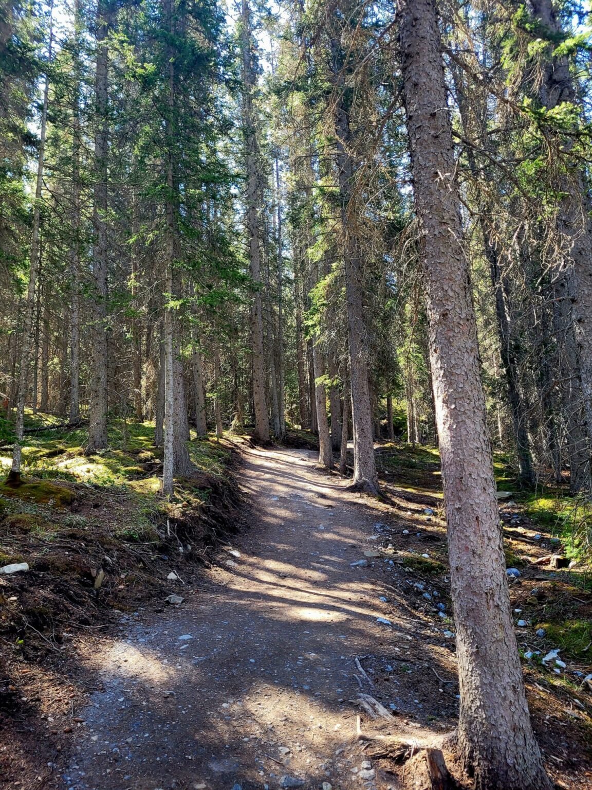 Ha Ling Peak Hiking Guide