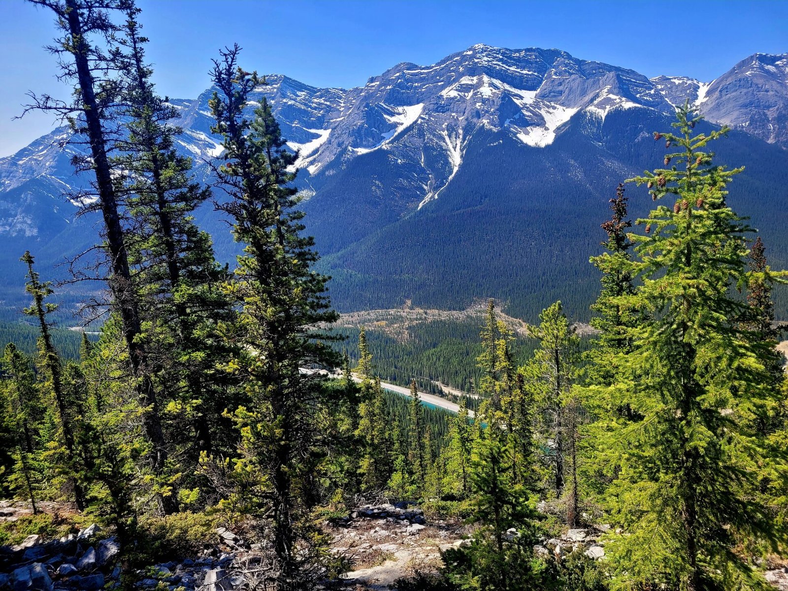 Ha Ling Peak Hiking Guide