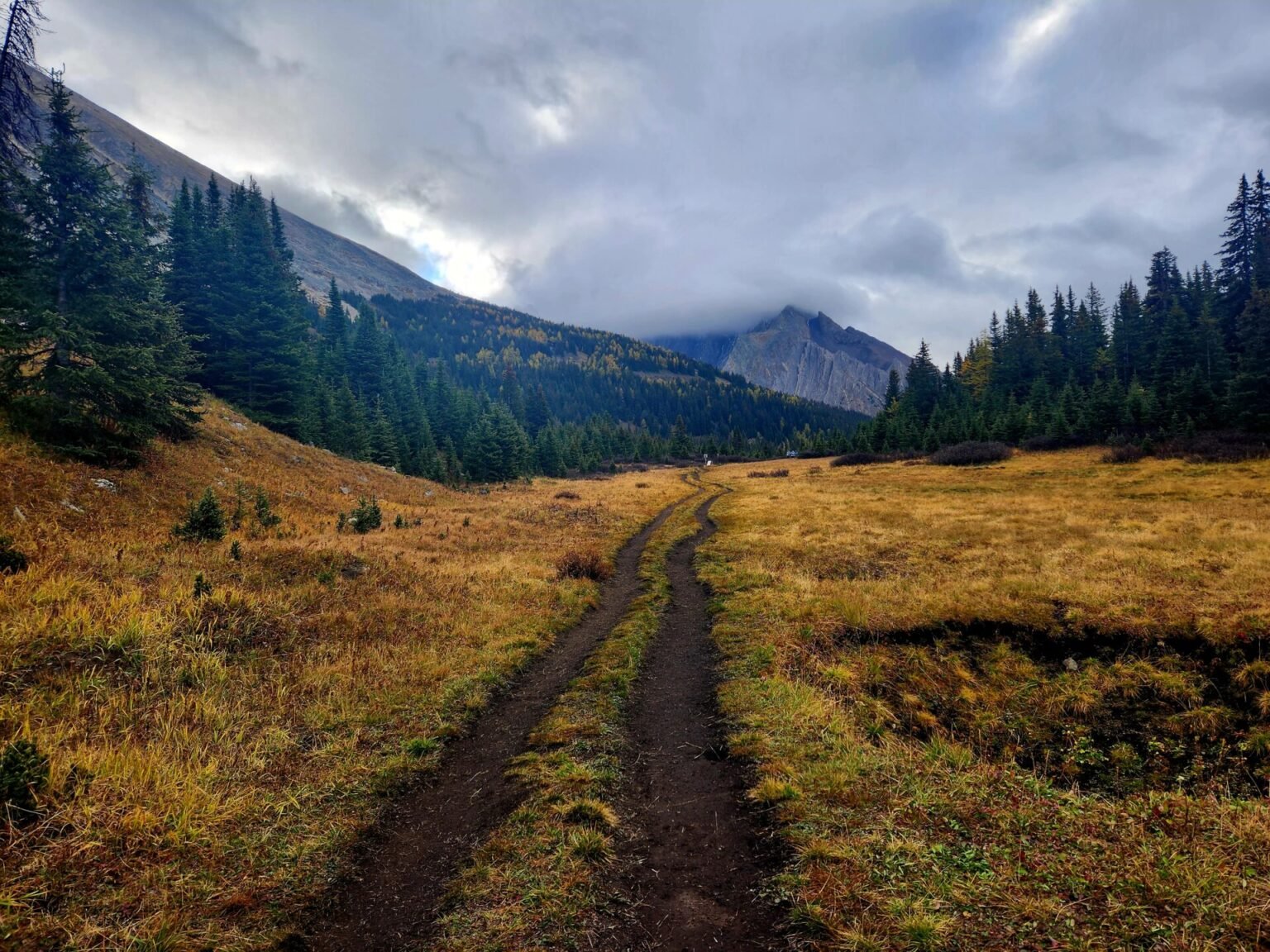 Pocaterra Cirque Guide During Larch Season