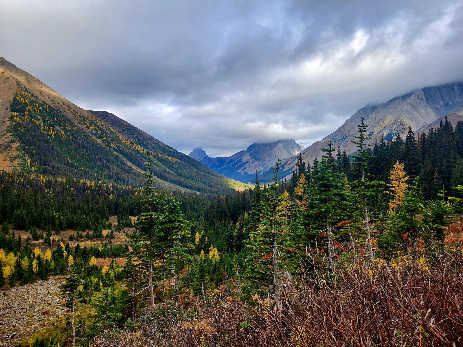 Pocaterra Cirque Guide During Larch Season