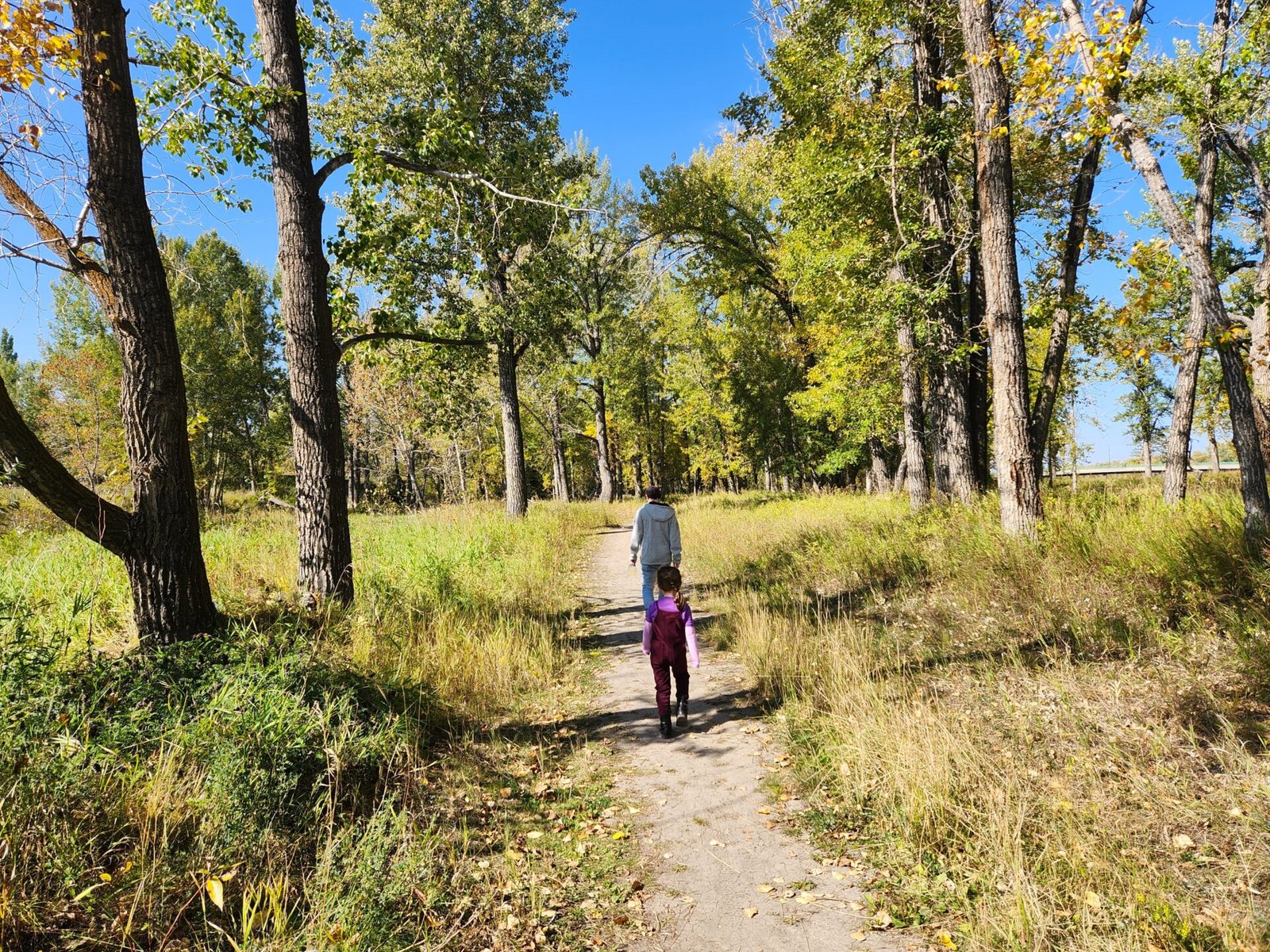 Ultimate Guide to Calgary’s Fish Creek Provincial Park