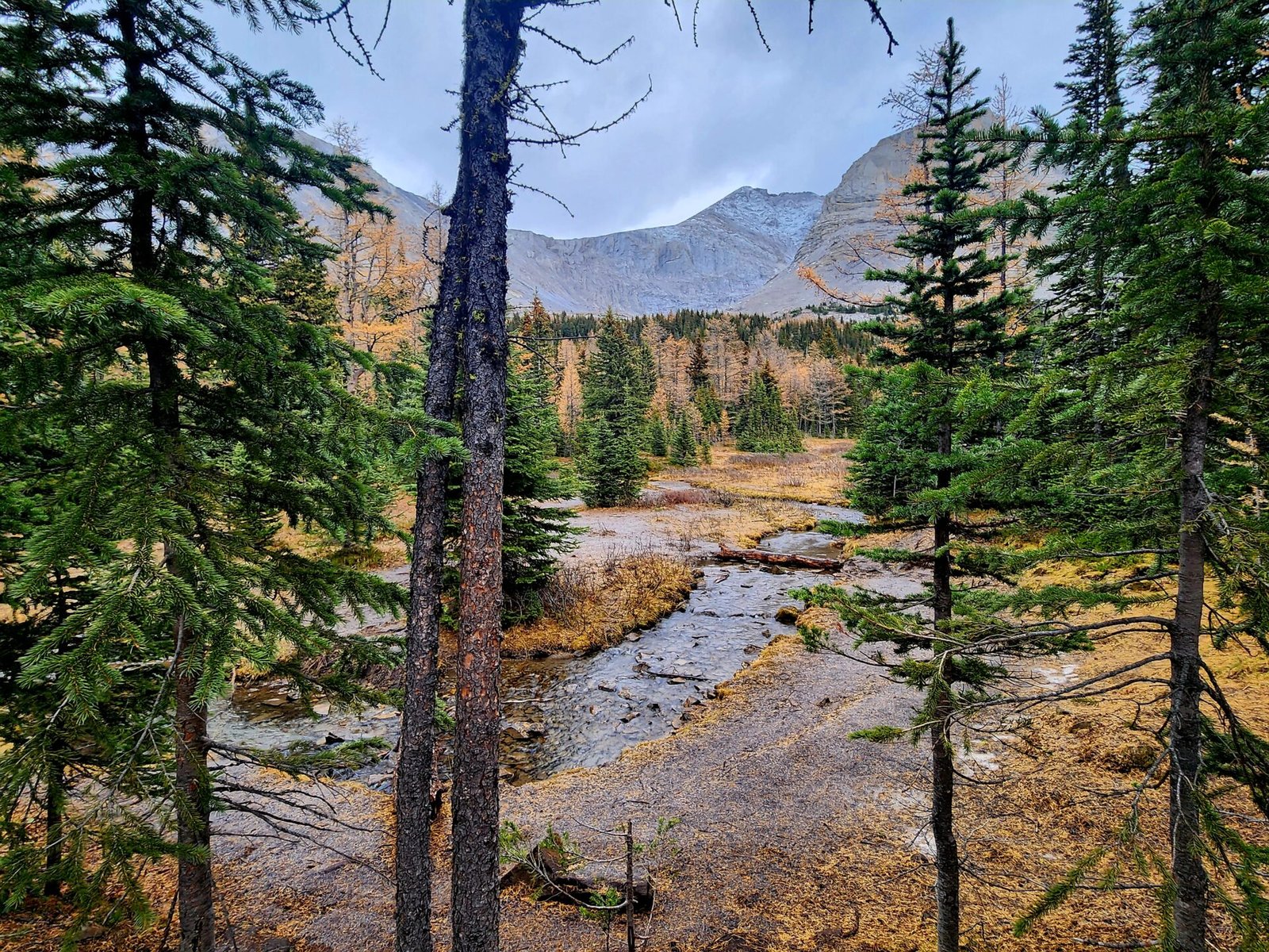 Arethusa Cirque Trail Guide