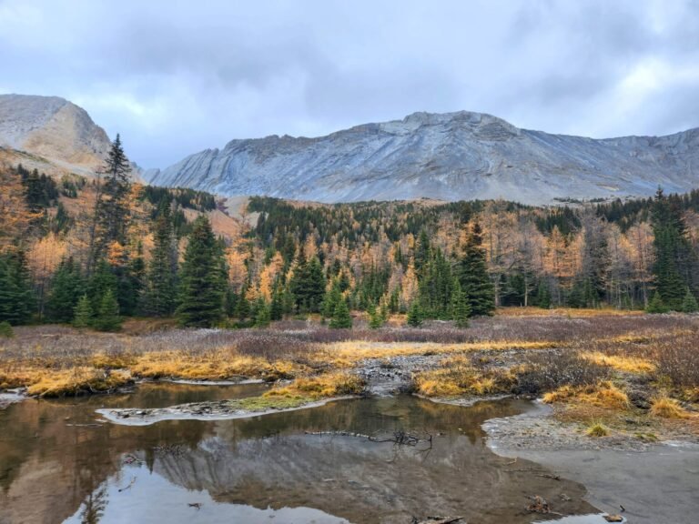 Arethusa Cirque Trail Guide