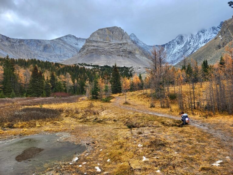 Arethusa Cirque Trail Guide
