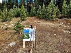 Arethusa Cirque Trail Guide