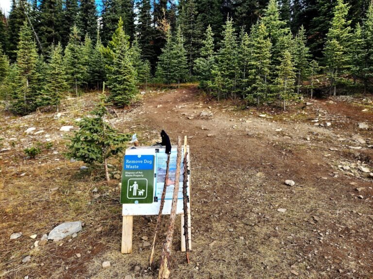 Arethusa Cirque Trail Guide