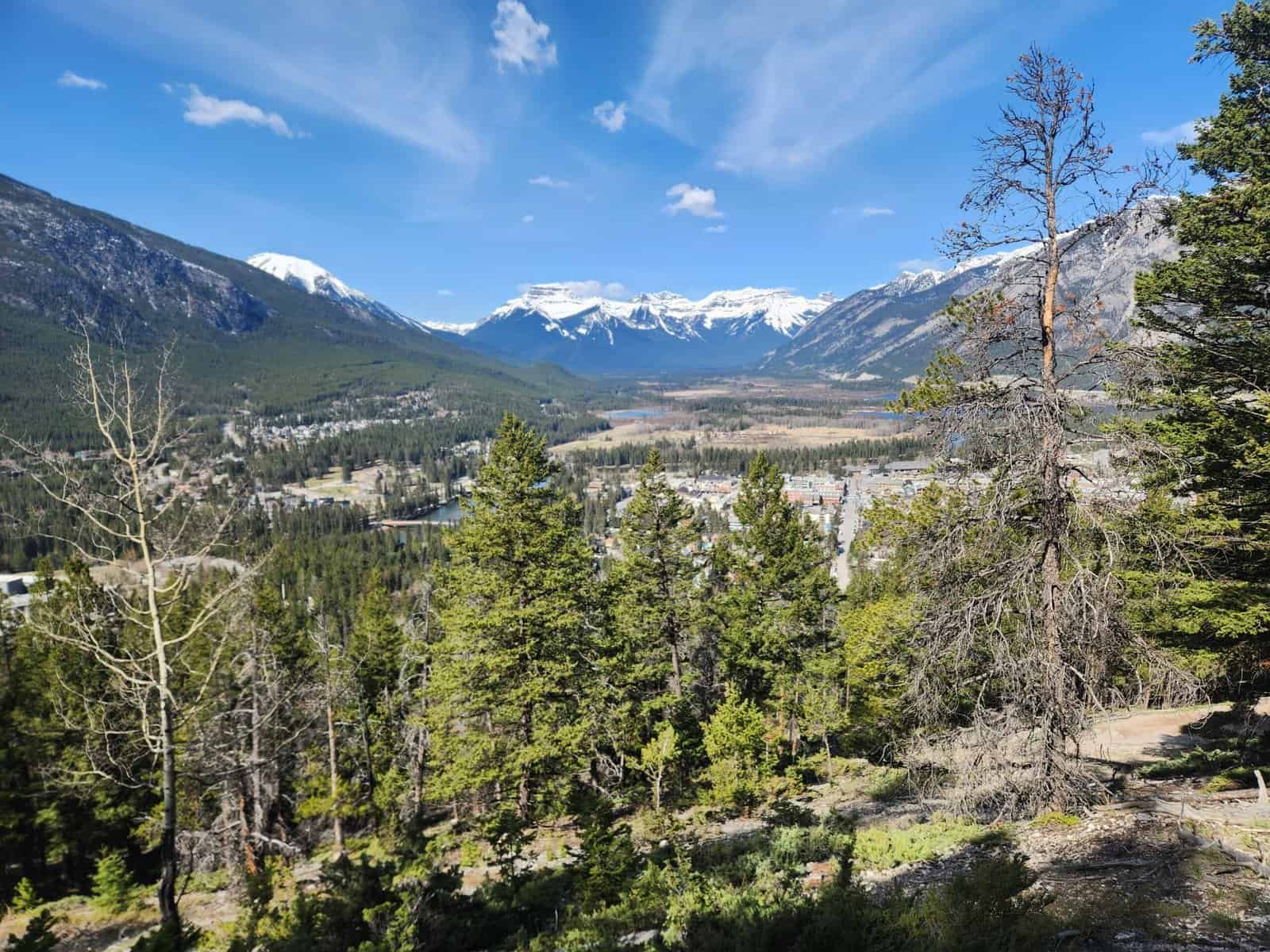 How to Hike Tunnel Mountain Summit Trail in Banff
