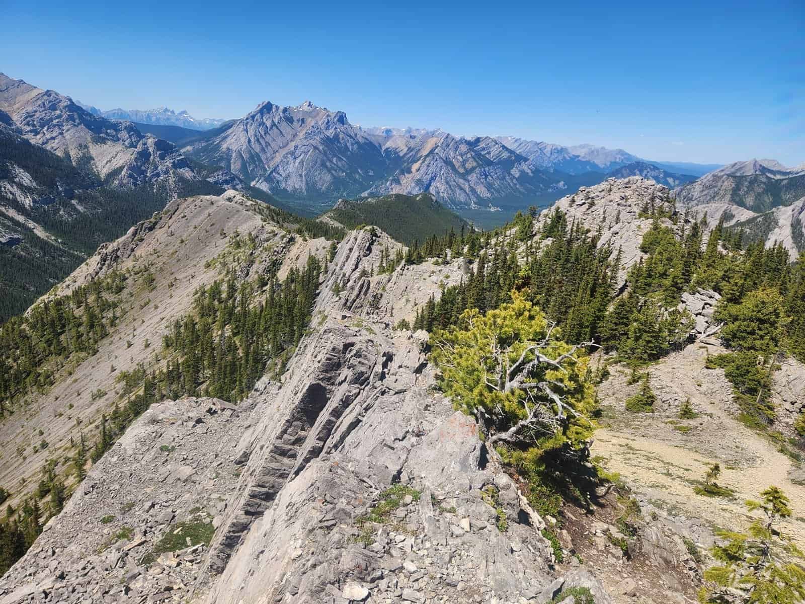 How to Hike Wasootch Ridge in Kananaskis