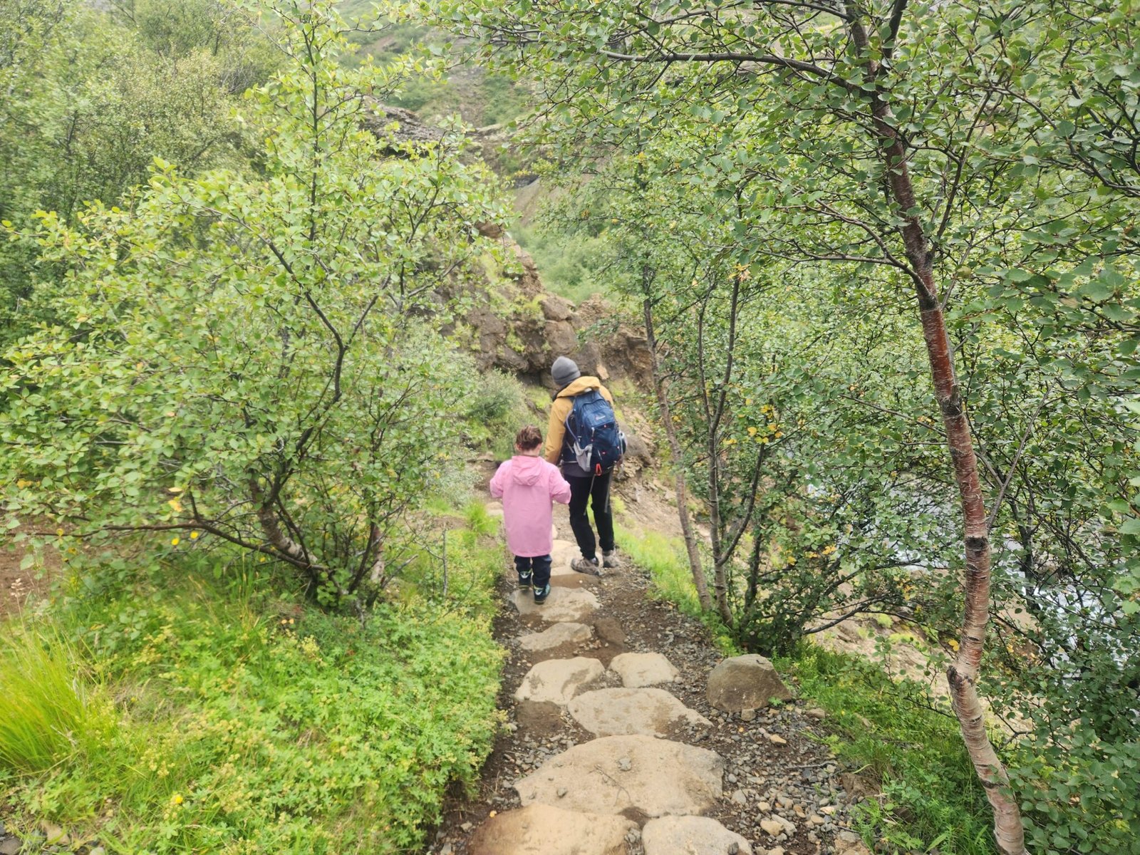 Glymur Waterfall: Complete Trail Guide